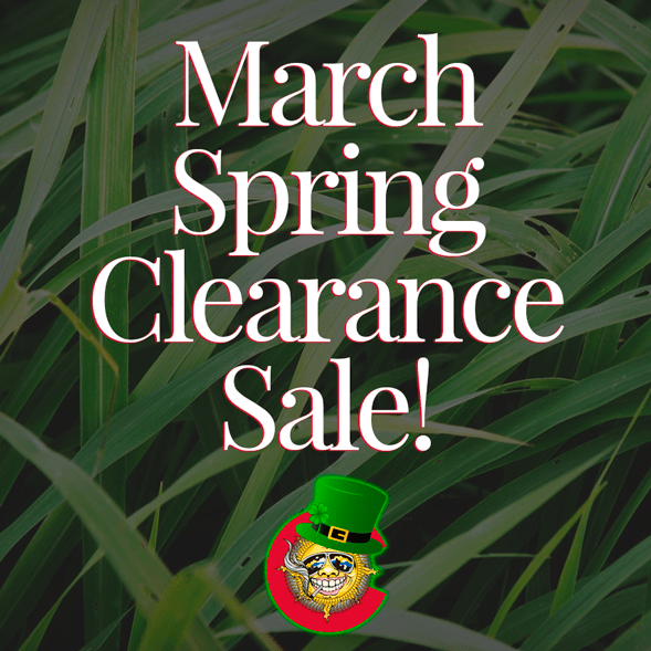 March Spring Clearance Sale! - Headed West