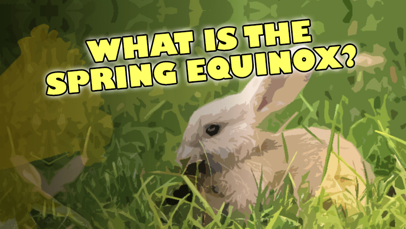 Spring Equinox | How to Celebrate the Start of Spring - Headed West
